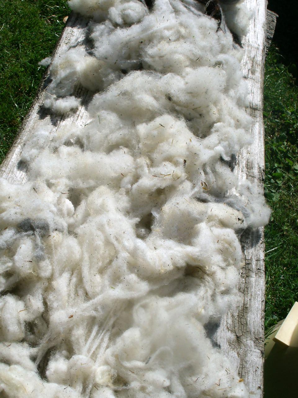 The process of making wool: Why is this industry so popular?